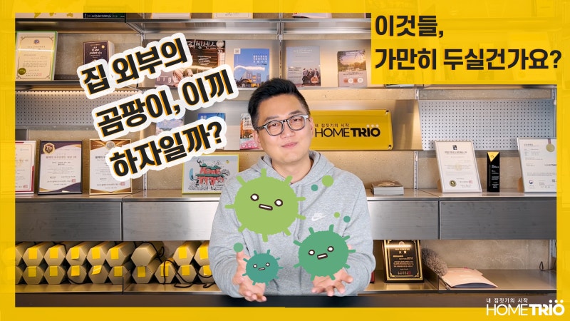 집트렌드집 외부의 곰팡이 이끼 하자일까단독 전원주택 집짓기 팁